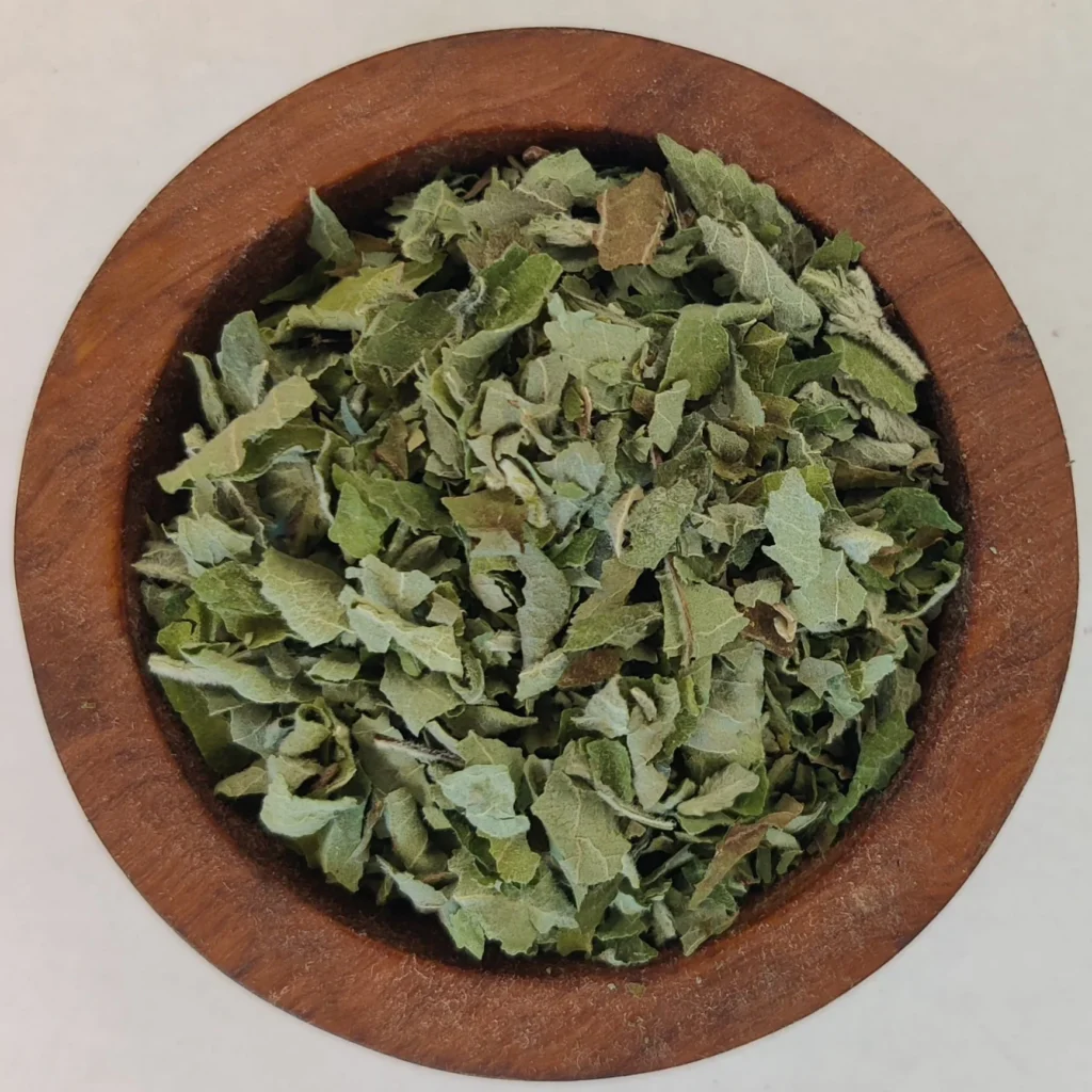 Tulsi Patta | Holy Basil Leaves